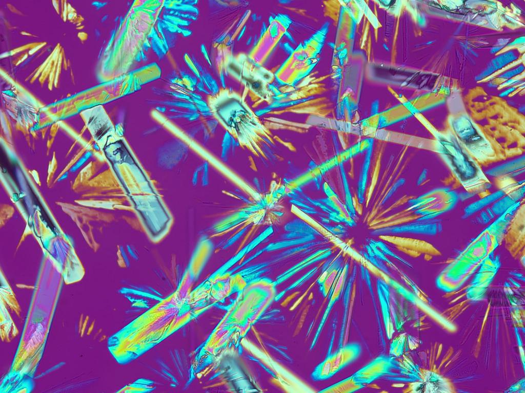 ZEISS Axioscope 5 Smart Laboratory Microscope