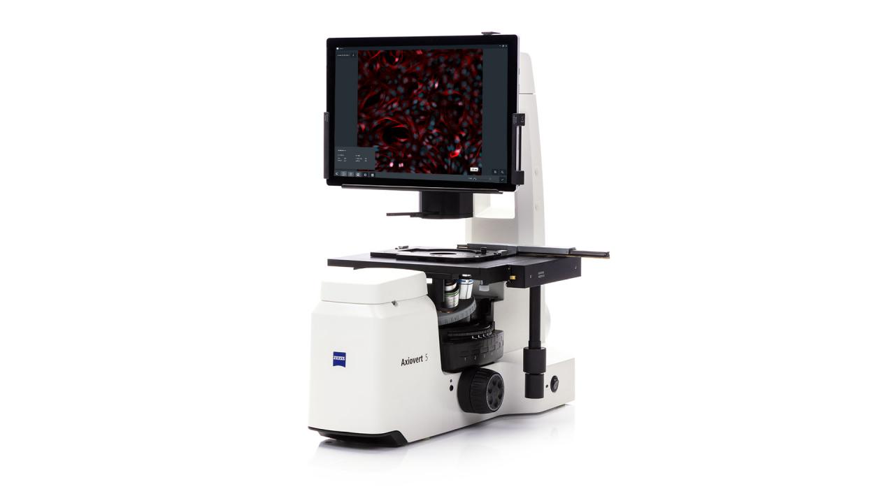 AI Microscopy Solutions | ZEISS
