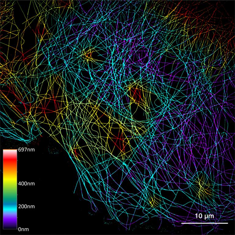 ZEISS Elyra 7: Super-Resolution and Single Molecule Localization Microscope