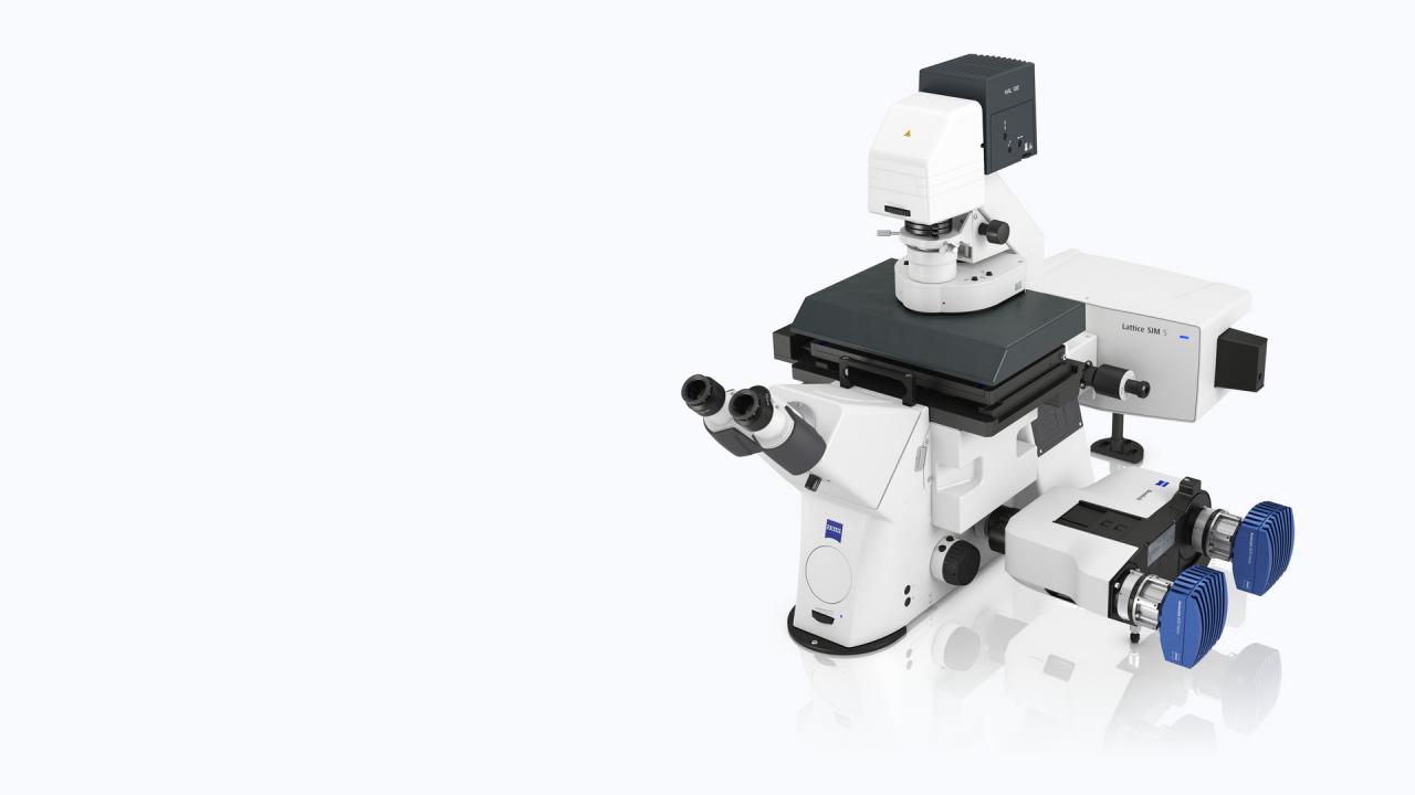 ZEISS Lattice SIM 5: Super-resolution imaging down to 60 nm