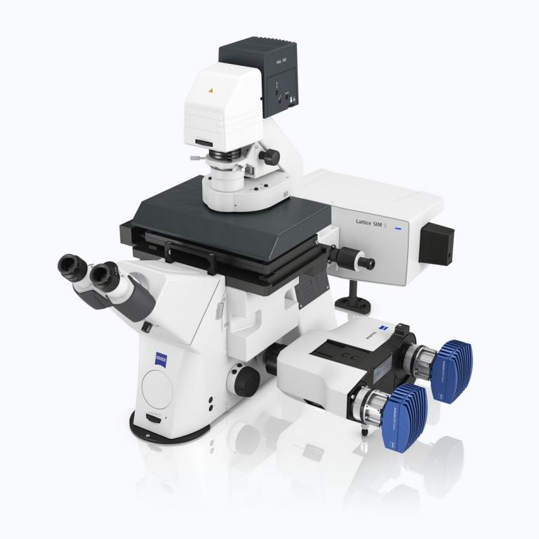 ZEISS Lattice SIM 5: Super-resolution imaging down to 60 nm