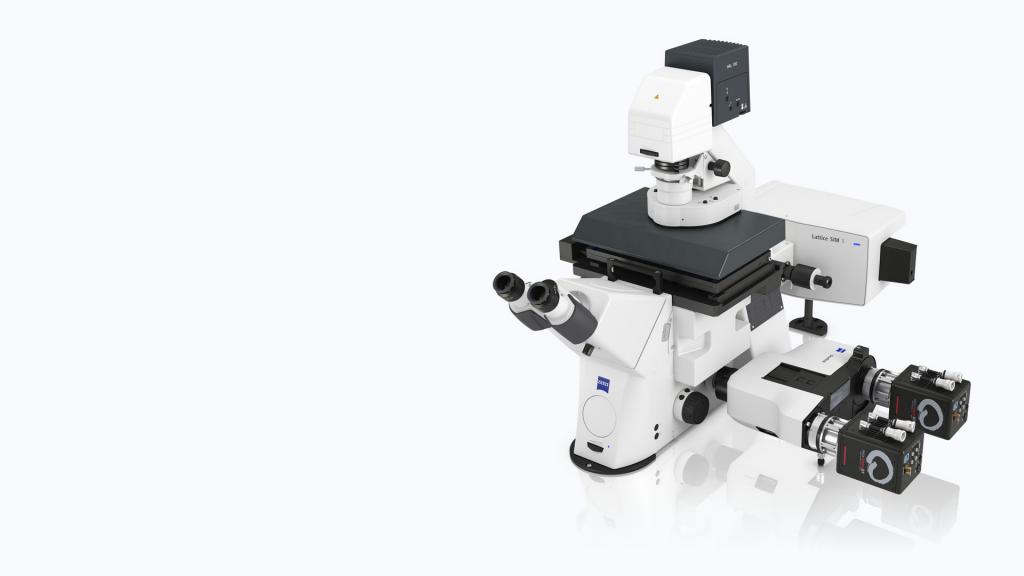 ZEISS Lattice SIM 5: Super-resolution imaging down to 60 nm