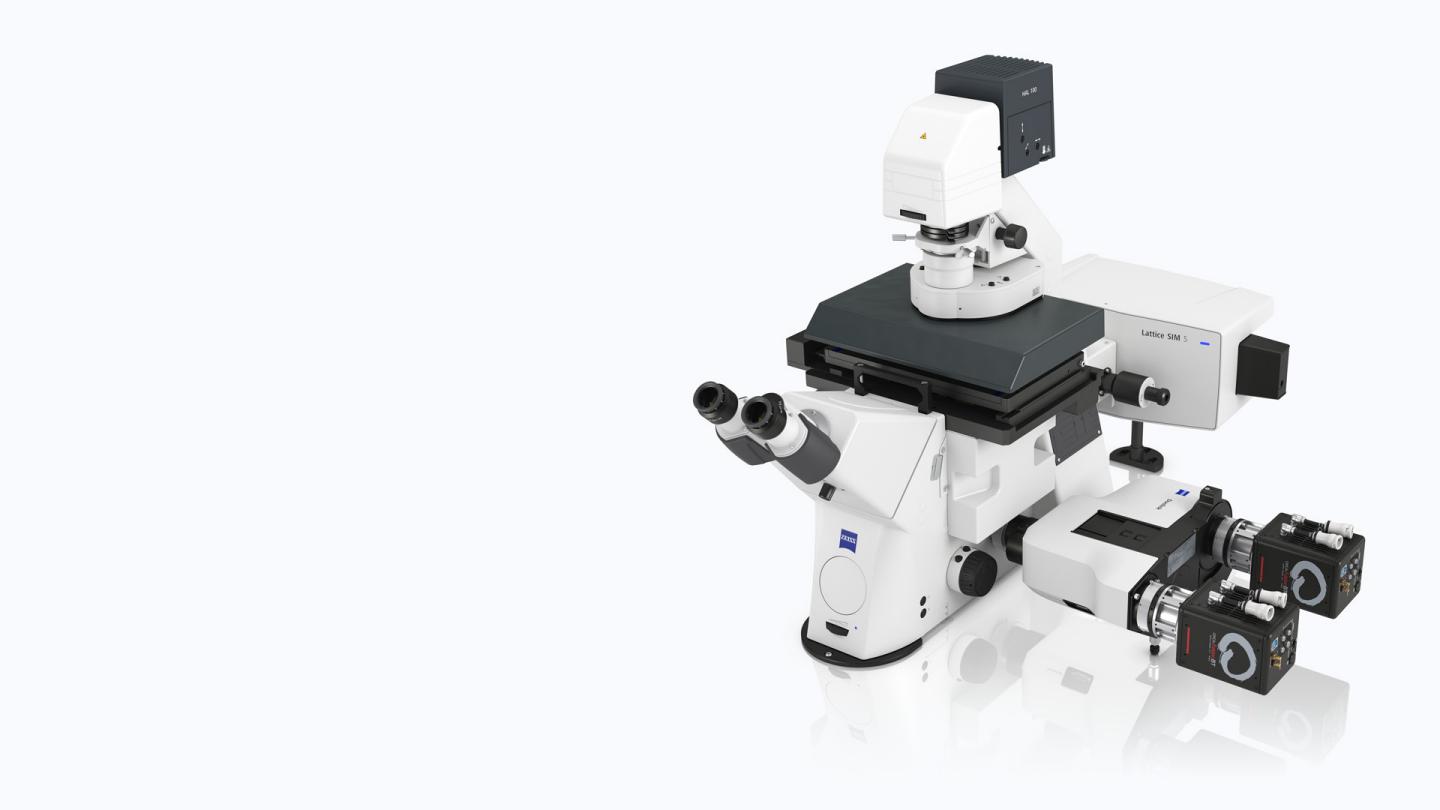 ZEISS Lattice SIM 5: Super-resolution imaging down to 60 nm