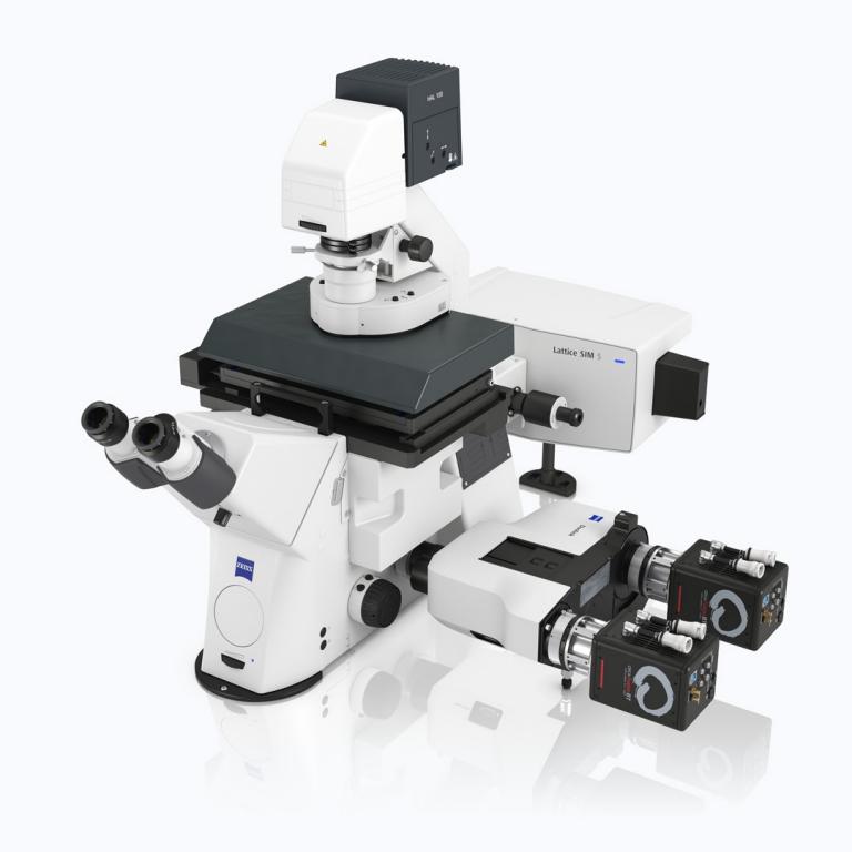 ZEISS Lattice SIM 5: Super-resolution imaging down to 60 nm