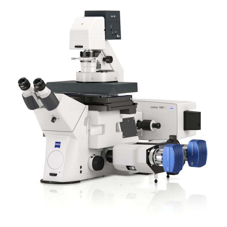 ZEISS Lattice SIM 3: Fast optical sectioning and super-resolution imaging