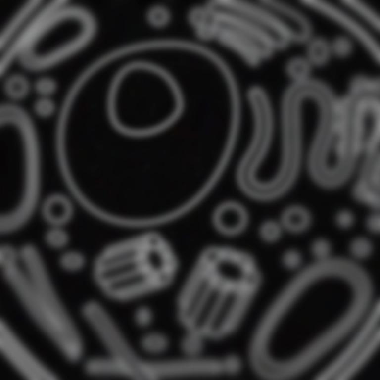 ZEISS Lattice SIM 5: Super-resolution imaging down to 60 nm