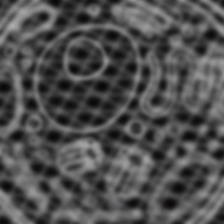 ZEISS Lattice SIM 5: Super-resolution imaging down to 60 nm