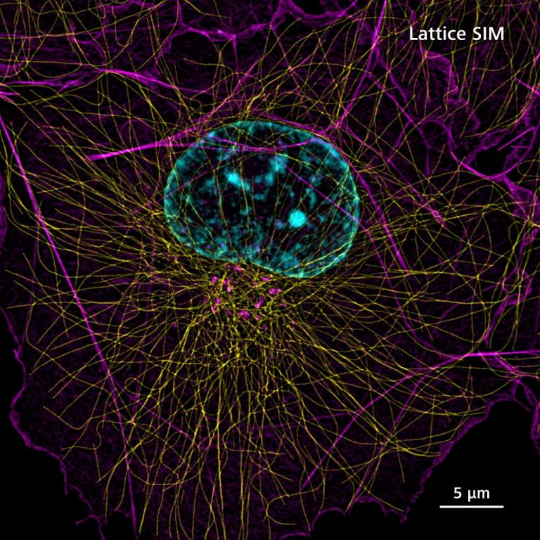 ZEISS Lattice SIM 5: Super-resolution imaging down to 60 nm