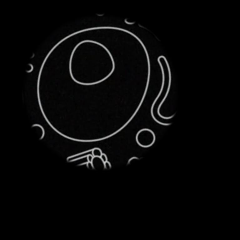 ZEISS Lattice SIM 3: Fast optical sectioning and super-resolution imaging