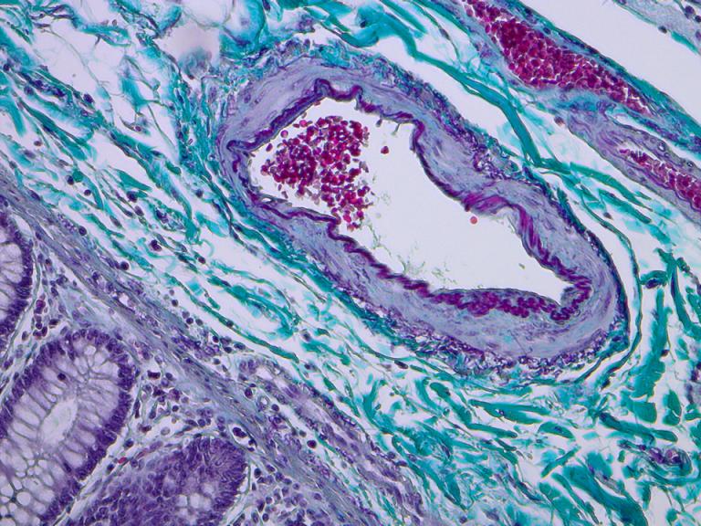 ZEISS Primostar 1 - Your Microscope for Education and Teaching