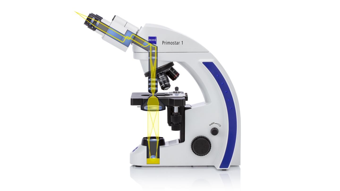 ZEISS Primostar 1 - Your Microscope for Education and Teaching