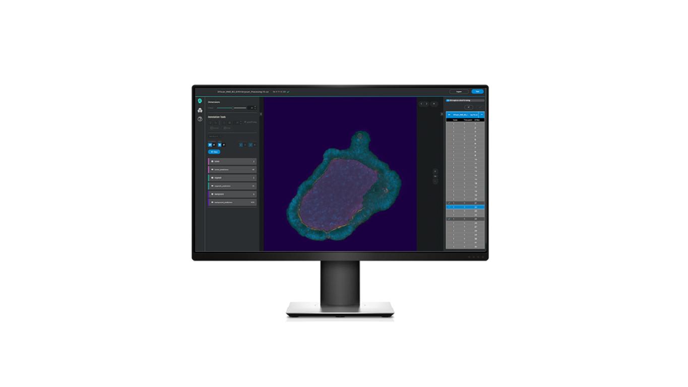 AI Microscopy Solutions | ZEISS