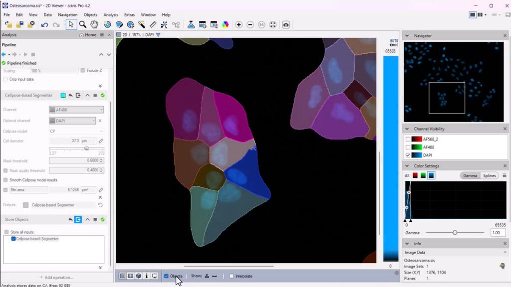 ZEISS arivis Pro Software
