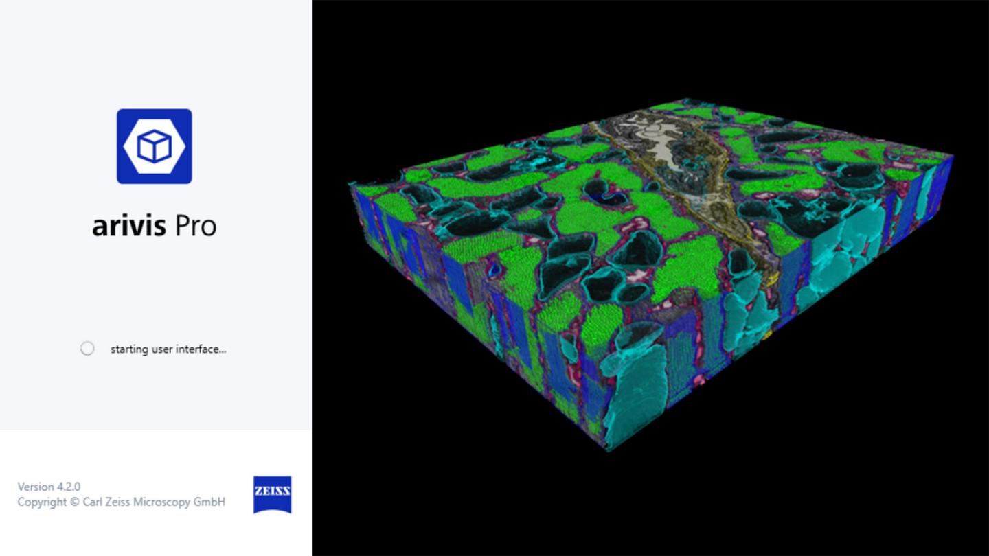 ZEISS arivis Pro Software