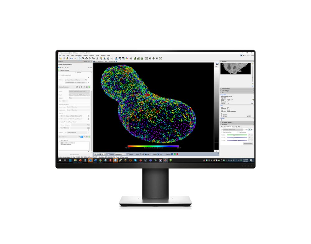 ZEISS arivis Pro Software