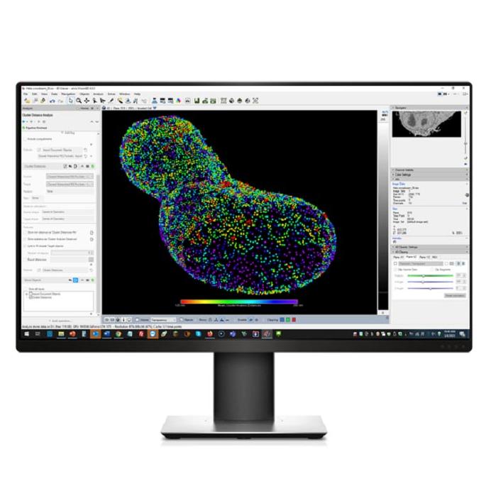 ZEISS arivis Pro Software