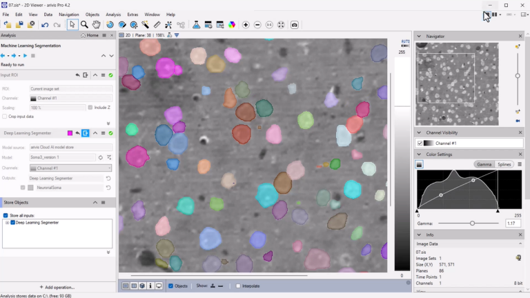 ZEISS arivis Pro Software