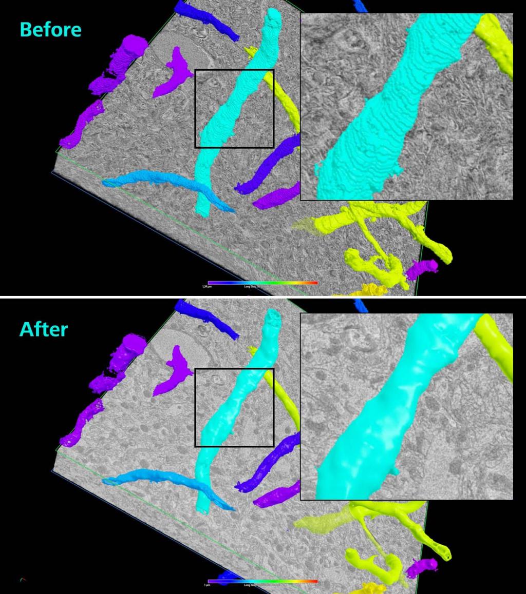 ZEISS arivis Pro Software