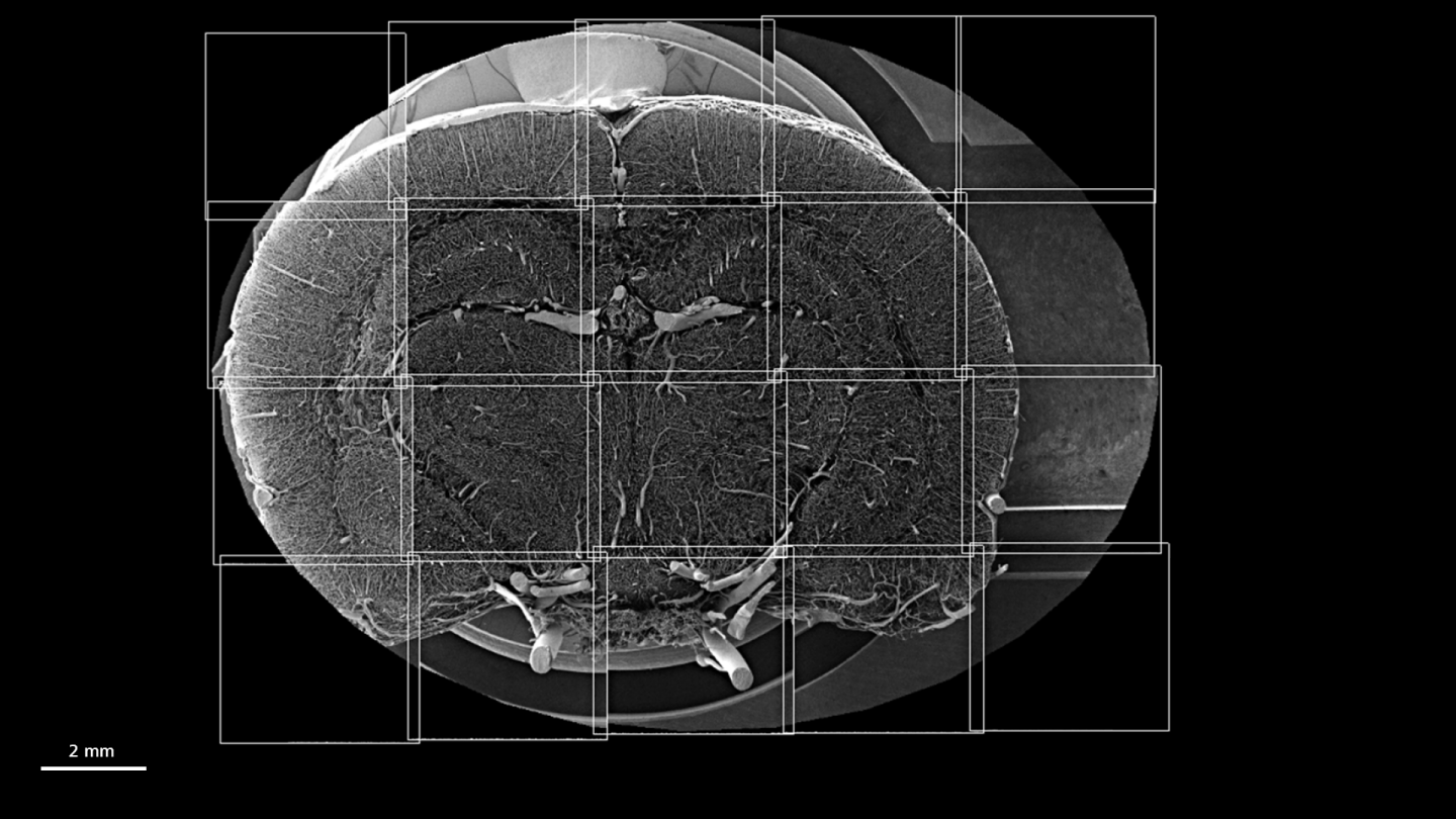 ZEISS Atlas 5 pour les processus multimodaux 2D et 3D sur les MEB, FE ...
