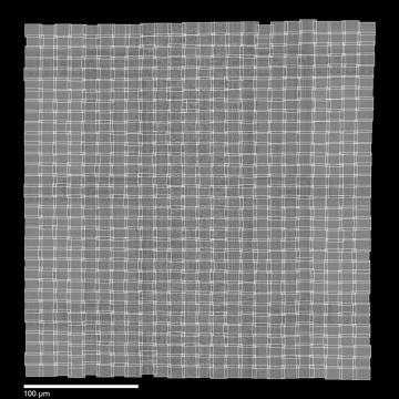 ZEISS Atlas 5 for multi-modal 2D & 3D workflows on ZEISS SEM, FE-SEM ...