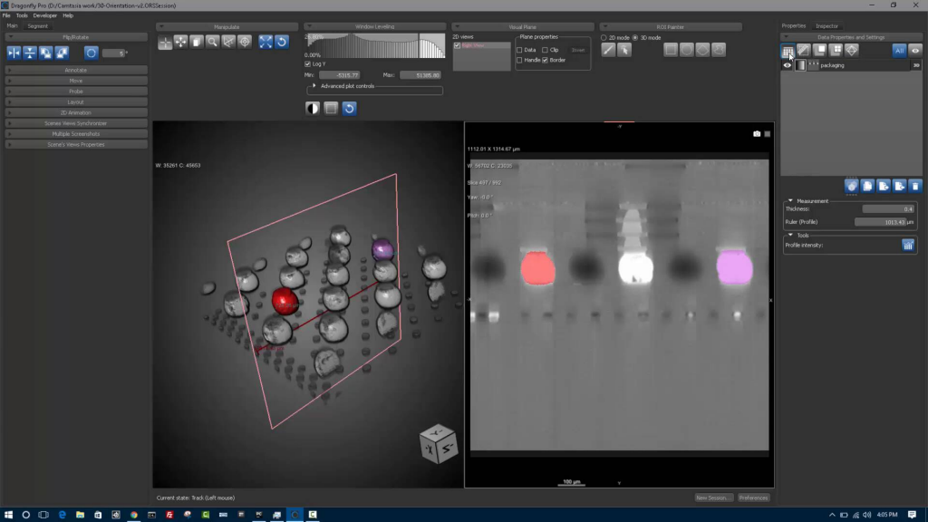 Dragonfly 3D World ZEISS edition