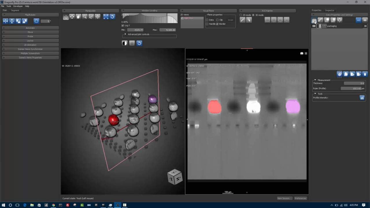 Dragonfly 3D World ZEISS edition