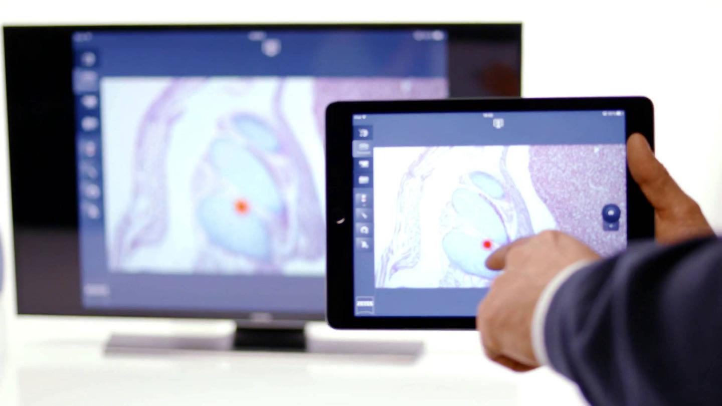 イメージングアプリZEISS Labscopeで魅力的な授業に