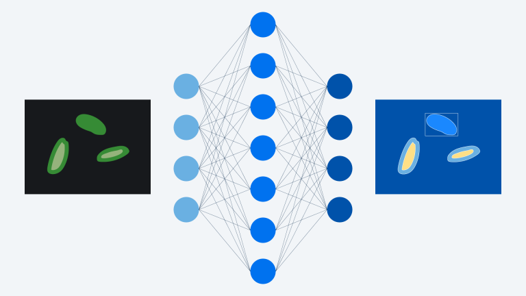 AI Microscopy Solutions | ZEISS