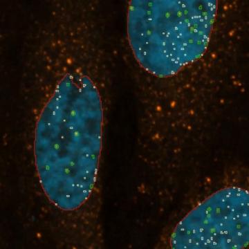 Bio Applications | ZEISS