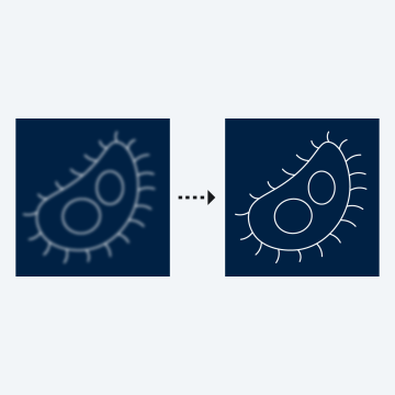 ZEN Developer Toolkit | ZEISS