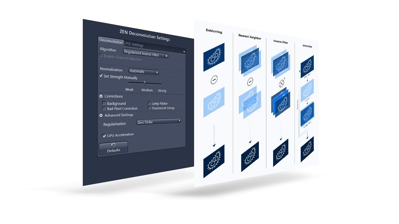 Deconvolution Toolkit | ZEISS