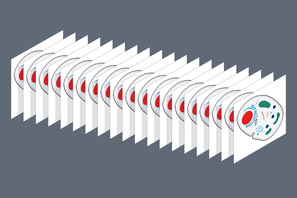 Logiciel de microscopie ZEISS ZEN