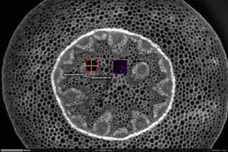 ZEISS ZEN Microscopy Software
