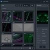 ZEISS ZEN Microscopy Software