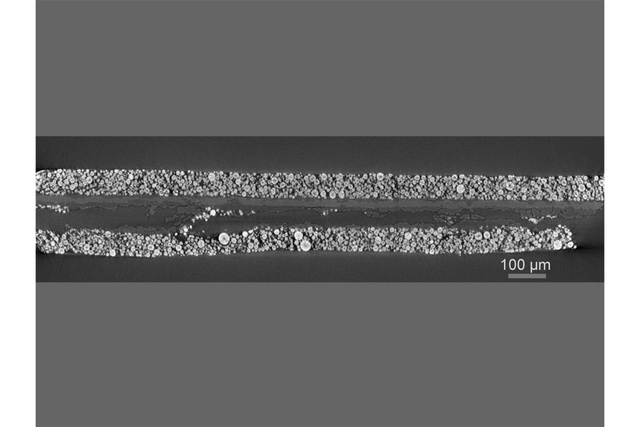 ZEISS Xradia Context microCT