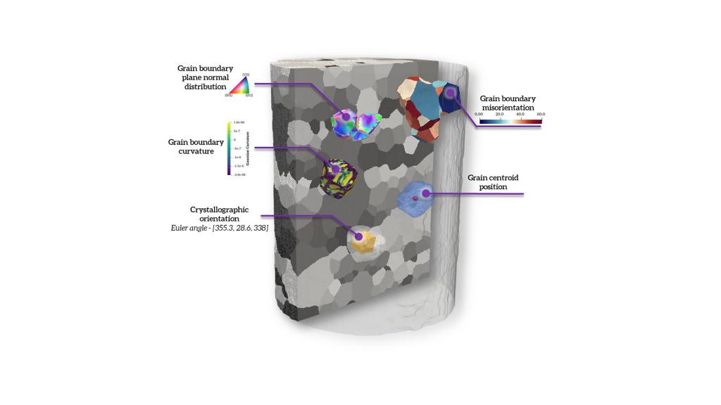 ZEISS Versa Advanced 3D X-ray Microscopes (XRM)