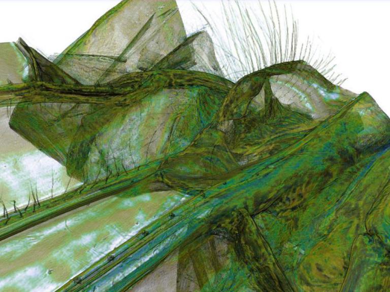 ZEISS Versa Advanced 3D X-ray Microscopes (XRM)