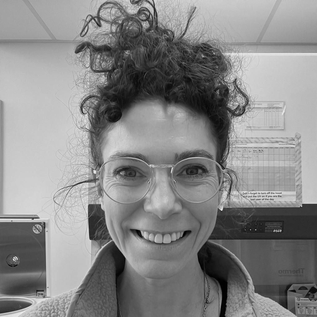 From Image to Results | High-content Screen for Cytoskeleton Regulation ...