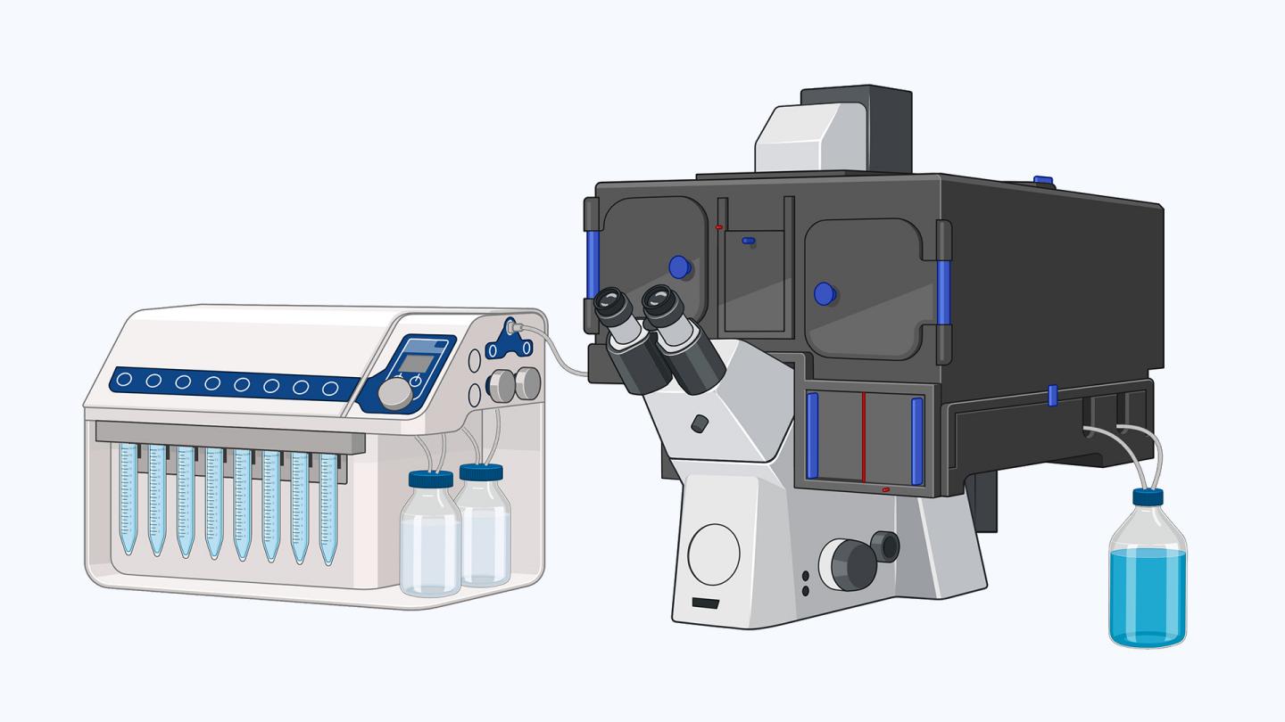 From Image to Results | Advanced Microfluidics Flow Analysis Made Easy