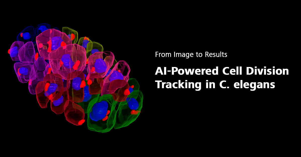 From Image to Results | AI-Powered Cell Division Tracking in C. elegans ...