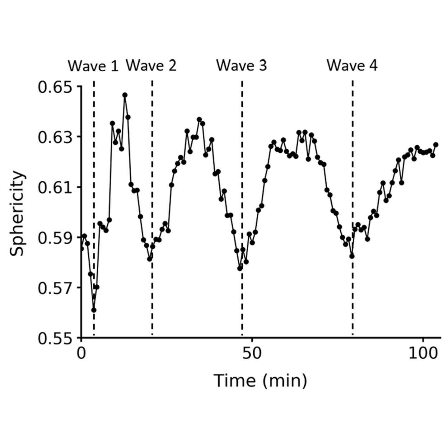 From Image to Results | C. elegans Embryo Cell Division Tracking