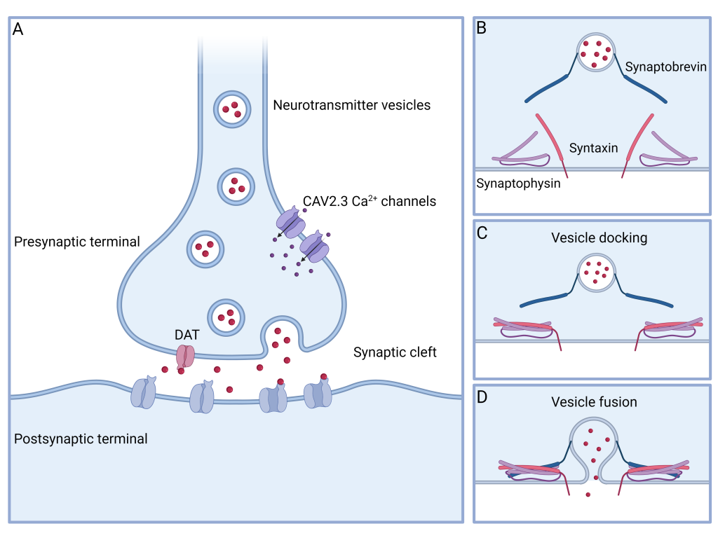 From Image to Results | Enabling 3D Multiplexing Spatial Omics ...