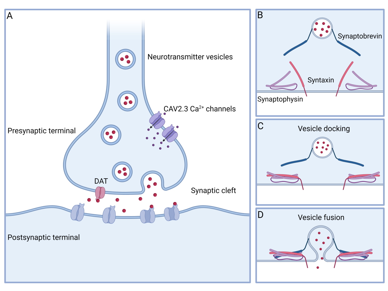 From Image to Results | Enabling 3D Multiplexing Spatial Omics ...