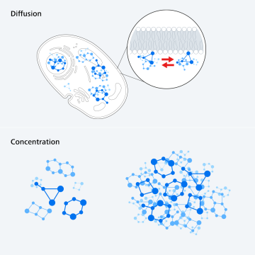 From Image to Results | Explore Molecular Dynamics with Raster Image ...