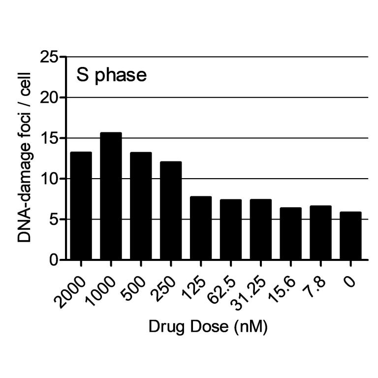 From Image to Results | High Content Imaging for Genotoxicity | ZEISS