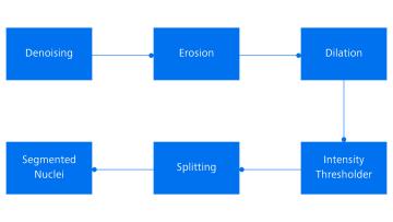 From Image to Results | Neuron Tracing