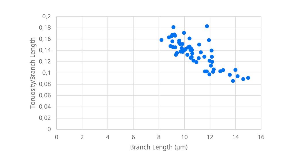 From Image to Results | Neuron Tracing