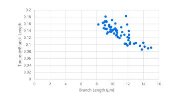 From Image to Results | Neuron Tracing
