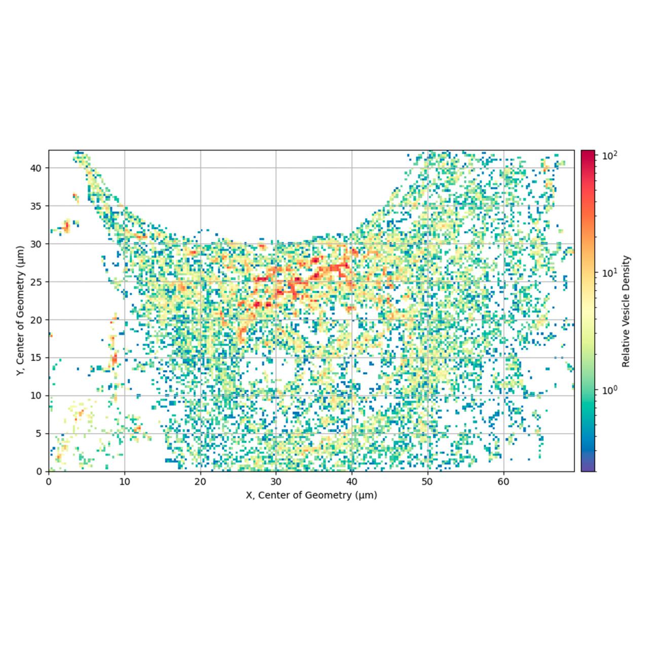 From Image to Results | Vesicle Trafficking | ZEISS
