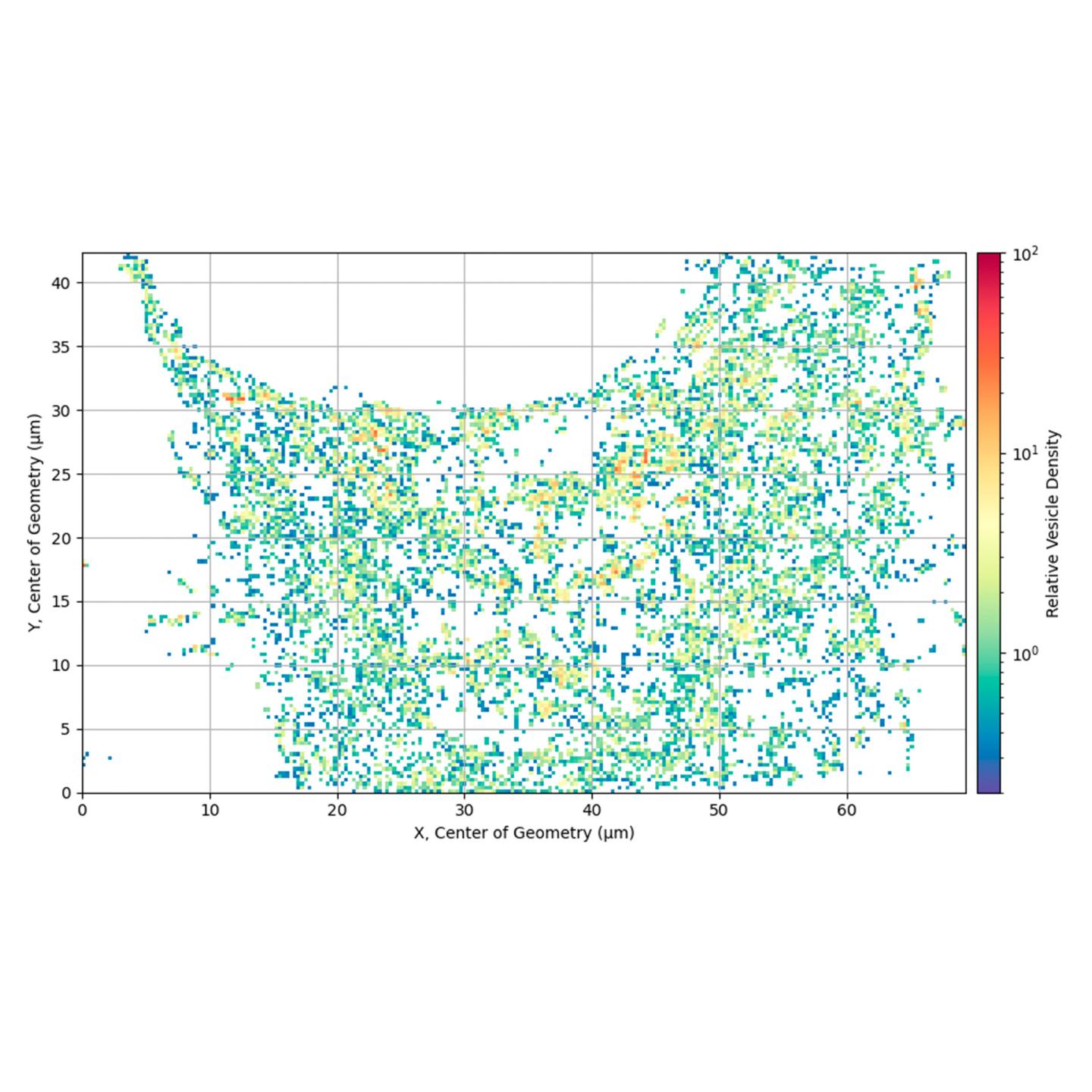 From Image to Results | Vesicle Trafficking | ZEISS